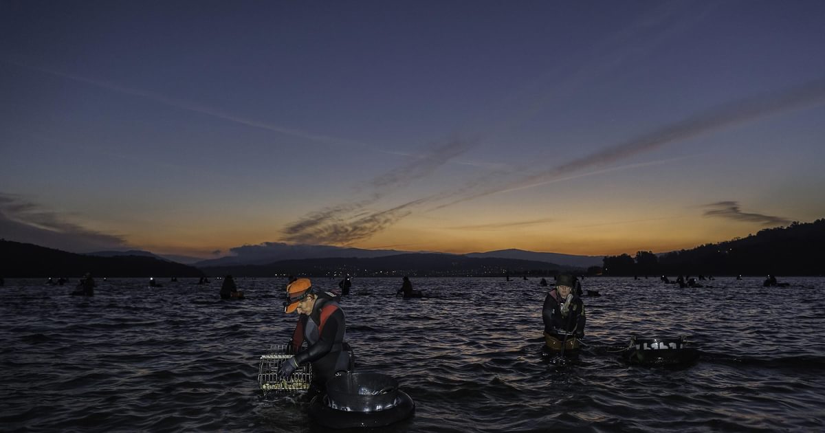 The Culture of Shellfish Harvesters | MAS Context